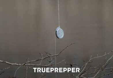 6 Famous Celebrities that are Survivalists and Preppers - TruePrepper