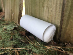Homemade Tick Tubes: A Cheap Way to Kill Ticks - TruePrepper