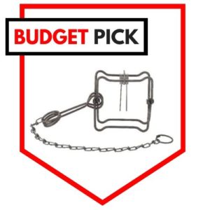 The Best Conibear Traps, Sets, and Sizes for Survival Trapping ...