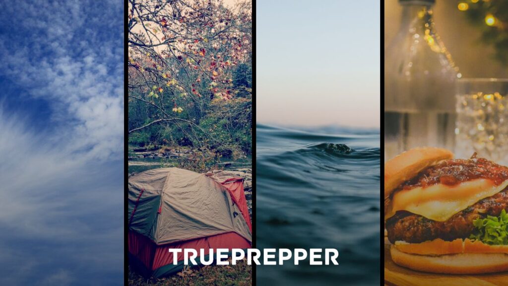 The Five Pillars of Survival | TruePrepper