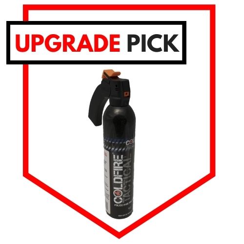 The Best Fire Extinguisher for Basic Preparedness | TruePrepper