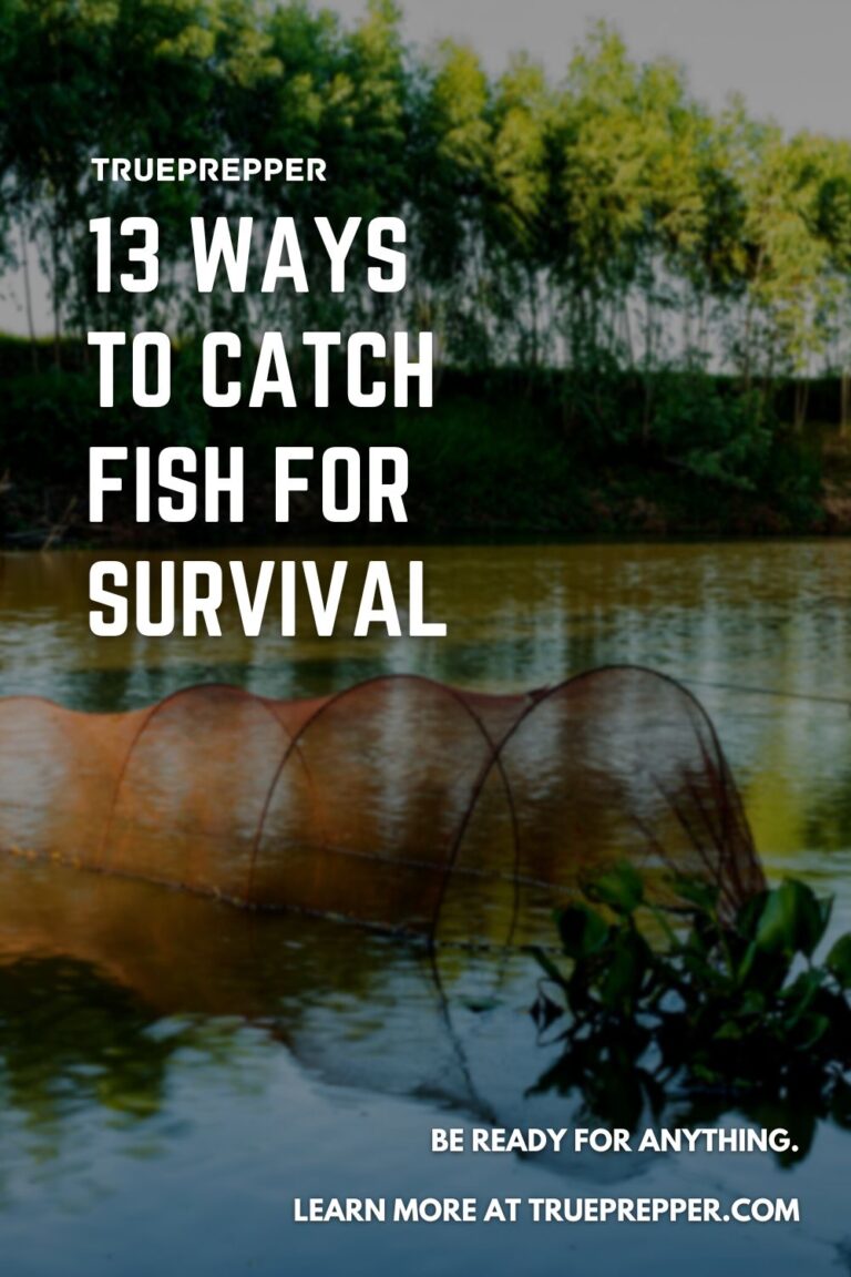 13 Ways to Catch Fish for Survival | TruePrepper