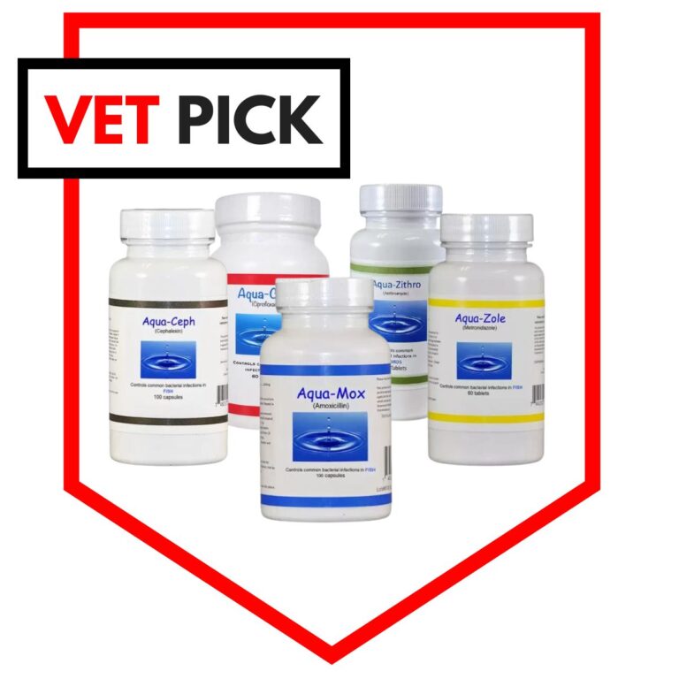 The Best Antibiotics for a Prepper's Emergency Supply | TruePrepper