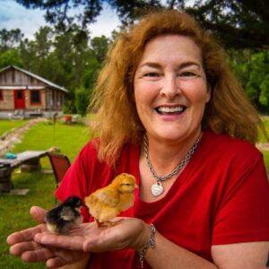 The 10 Best Off-Grid Homesteading YouTube Channels | TruePrepper